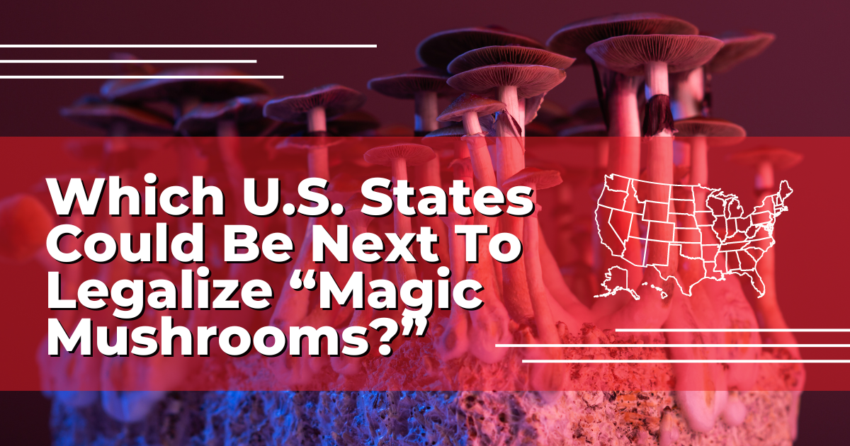 “MAGIC MUSHROOMS”: Which U.S. States Could Be Next To Legalize ... “MAGIC MUSHROOMS”: Which U.S. States Could Be Next To Legalize ...